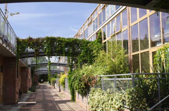 Green architecture – BedZED eco-community | RobAid