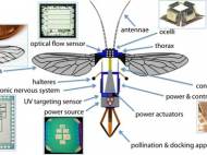 Biomimicry of bees and the insect’s hive behavior – RoboBees | RobAid