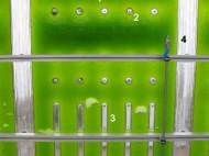 Bioreactive façade with algae filled panels - RobAid