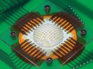 Arthropod eye design inspires novel digital cameras - RobAid