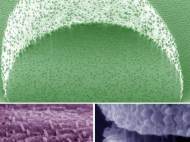 Sea shells inspired a new material made of chalk and polystyrene - RobAid